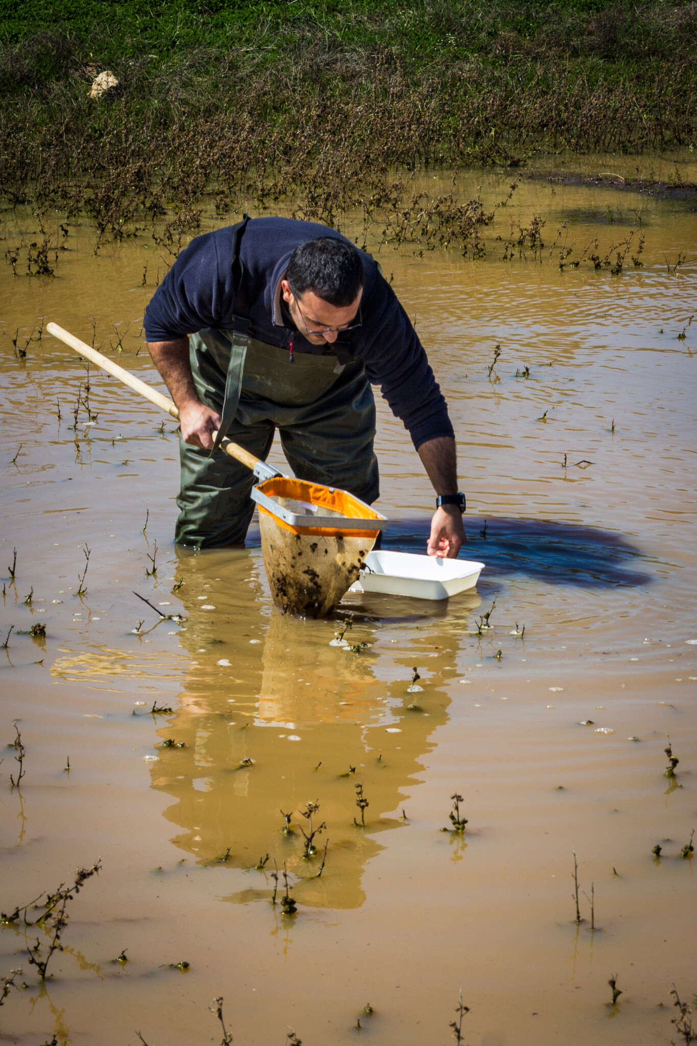 Ecologist - Green Jobs for Nature