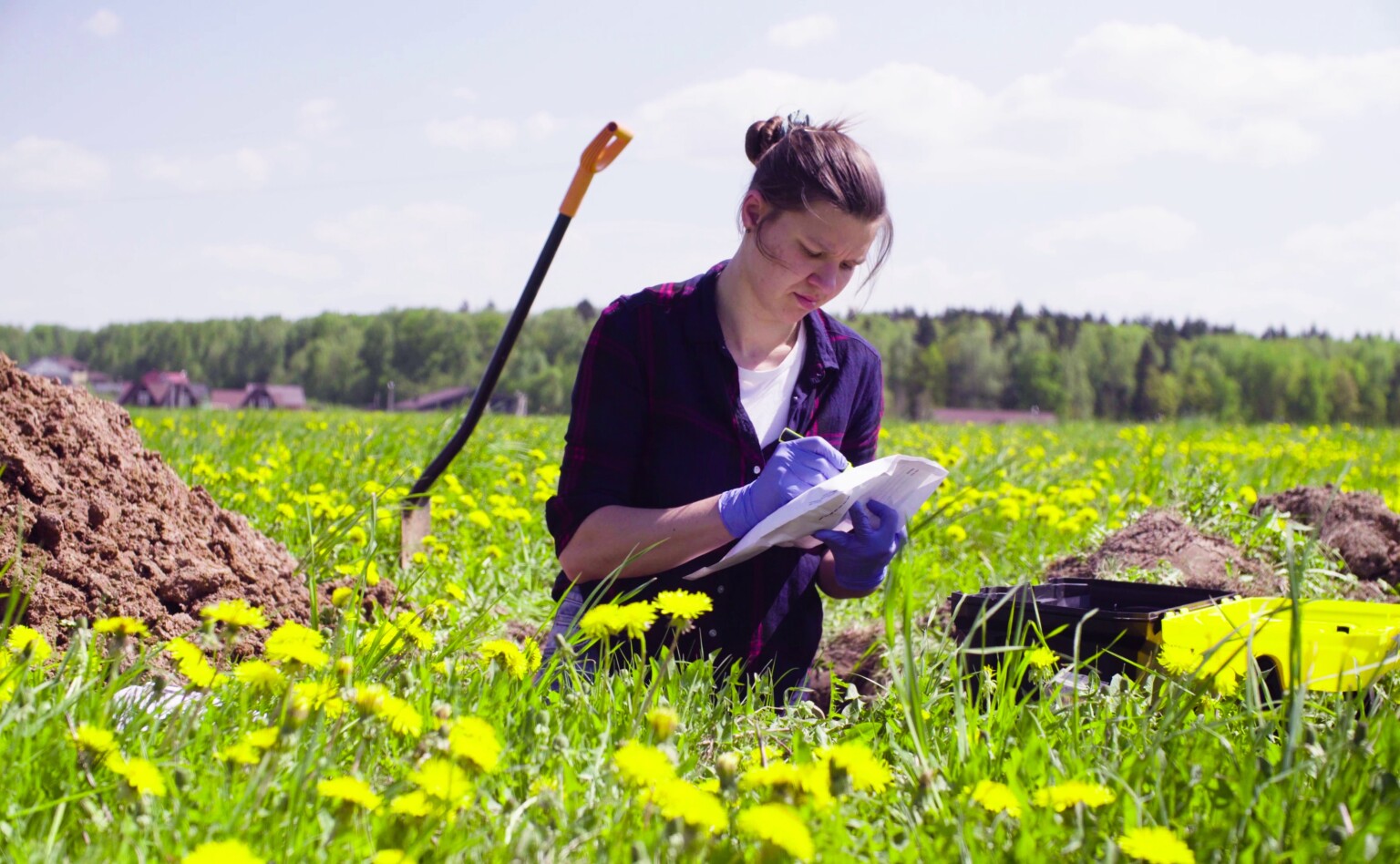 Ecologist - Employment Sectors - Green Jobs for Nature