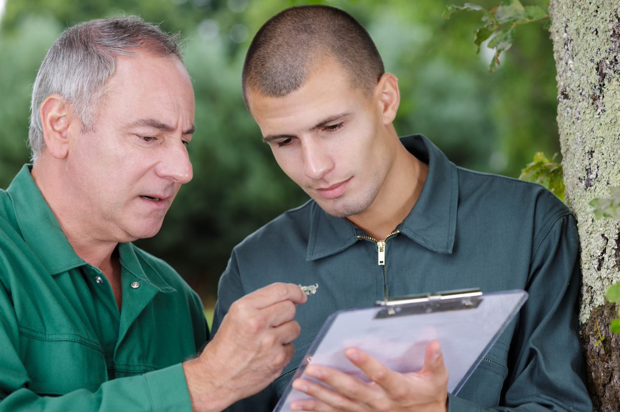Apprenticeships in Northern Ireland - Green Jobs for Nature